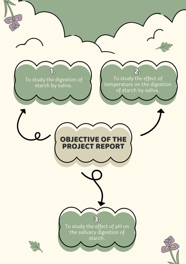 Class 12 Chemistry Investigatory Project.pdf
