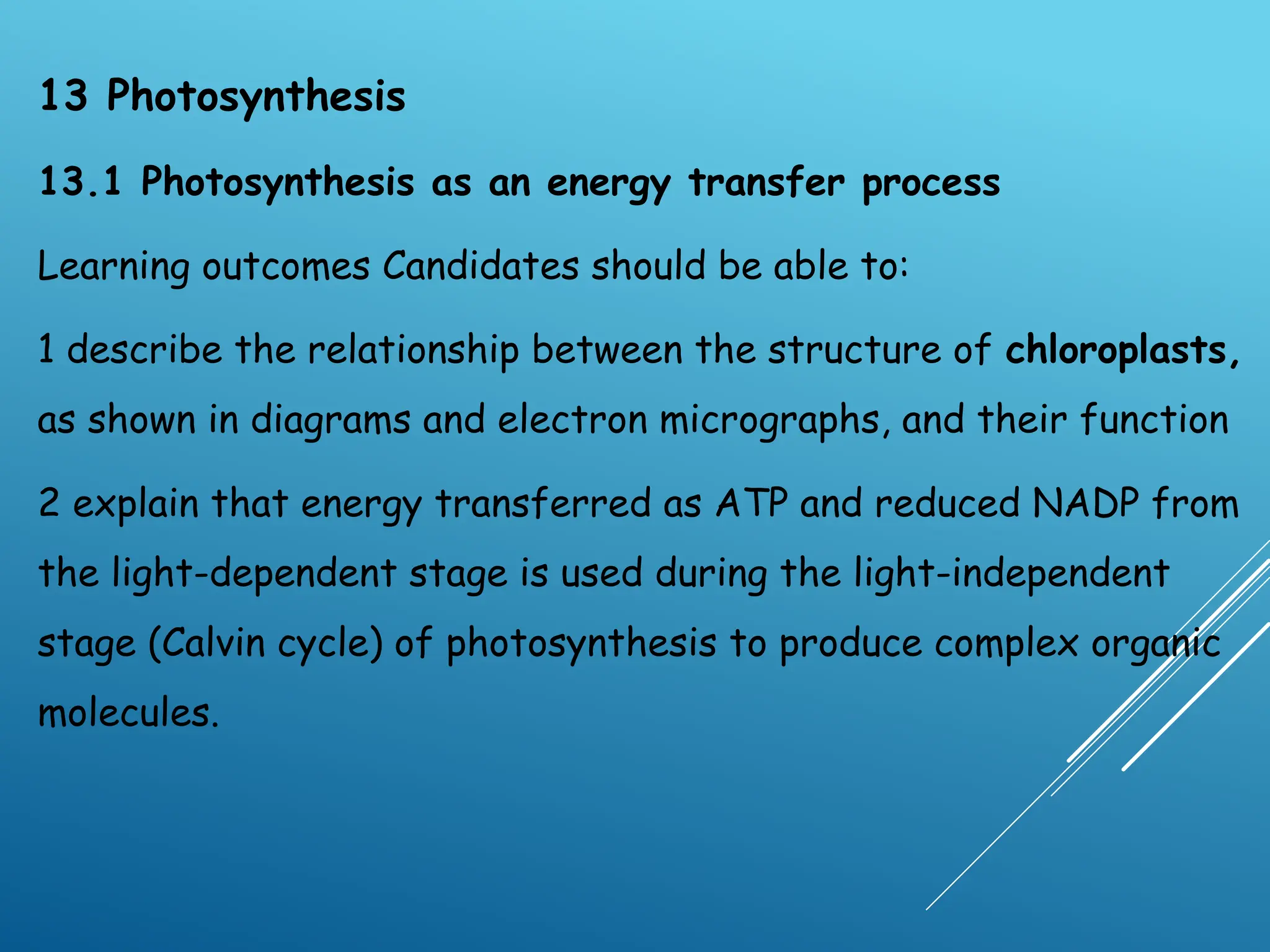 class 1 2 chloroplast structure and function and light dependent ...