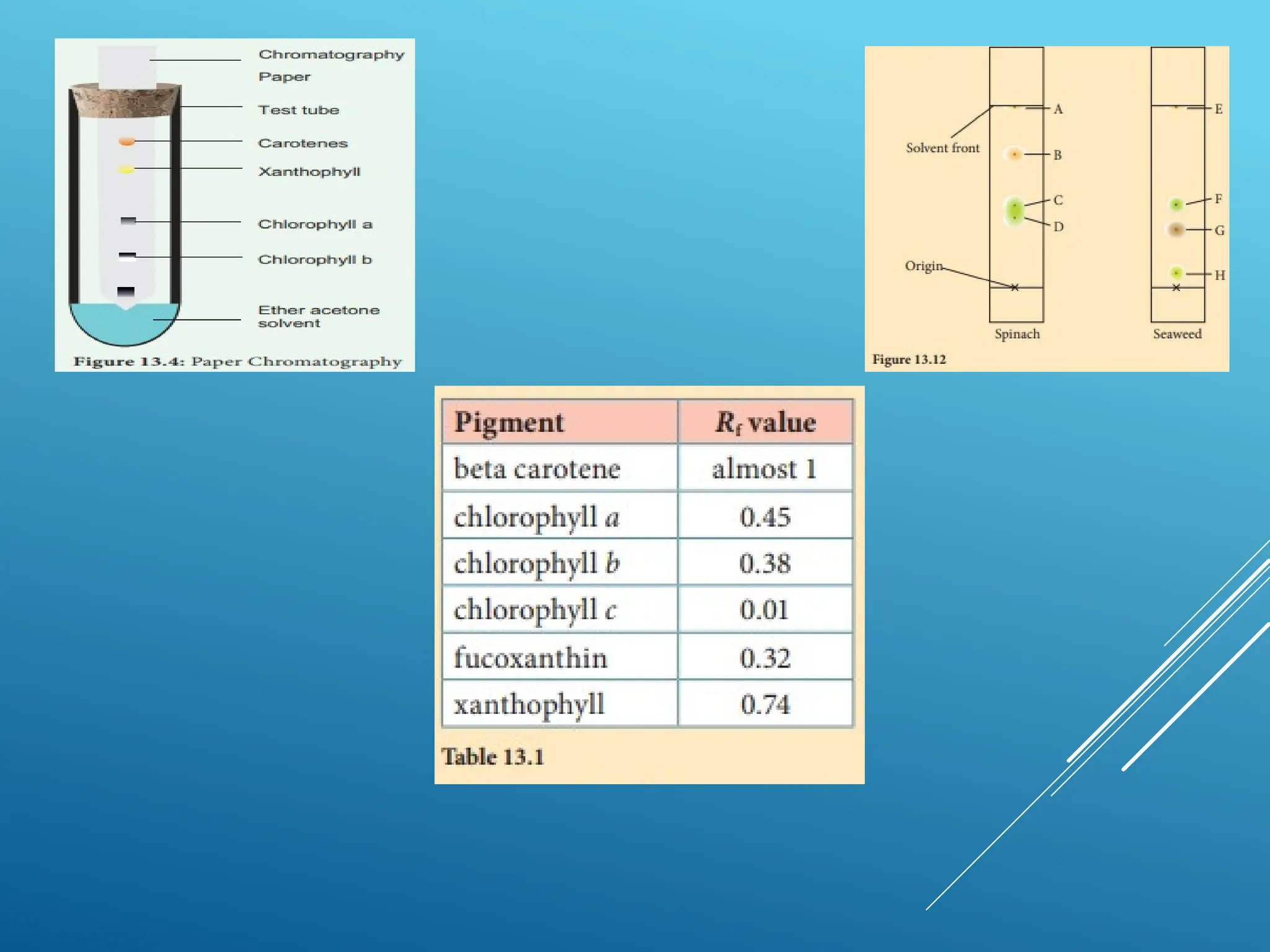 class 1 2 chloroplast structure and function and light dependent ...