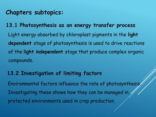 class 1 2 chloroplast structure and function and light dependent ...