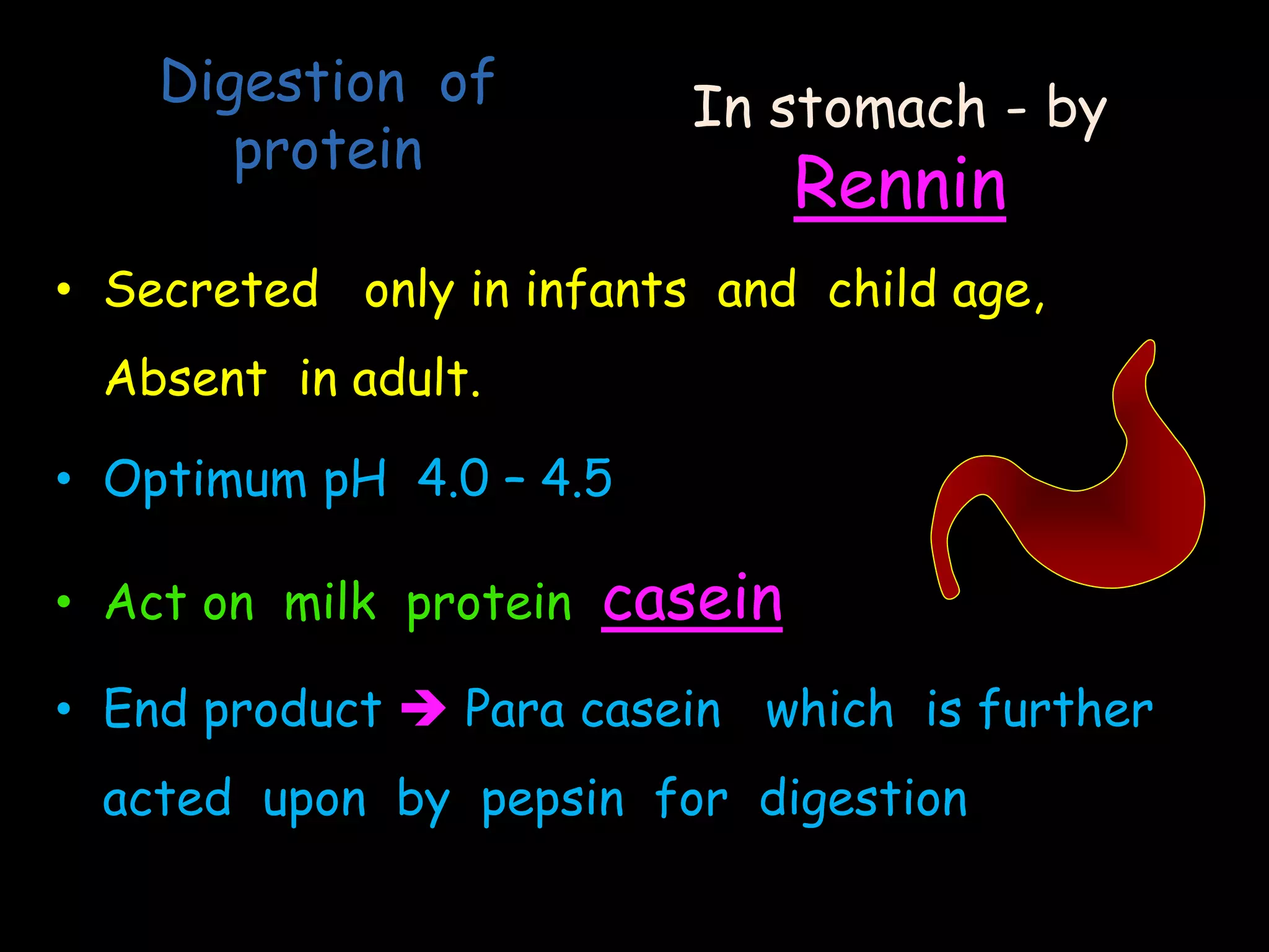 Digestion protein, absorption amino acid and amino acid pool | PPTX