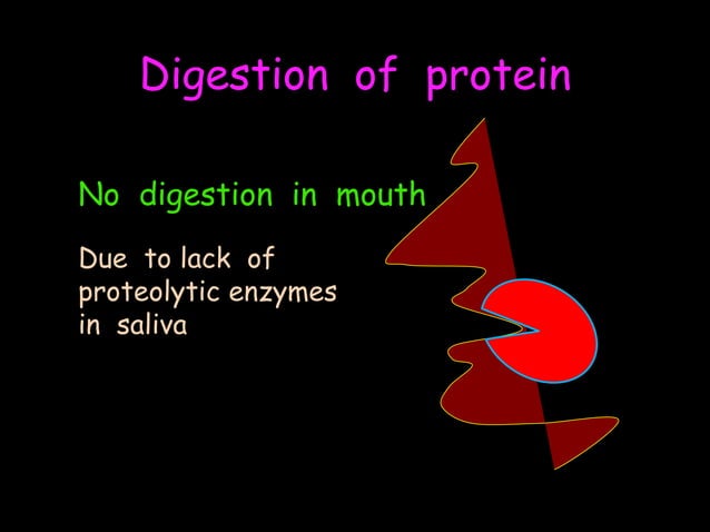 Digestion protein, absorption amino acid and amino acid pool | PPT