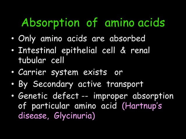 Digestion protein, absorption amino acid and amino acid pool | PPT