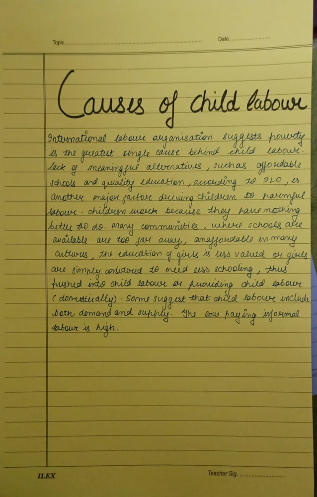 class 12 English project lost spring.pdf