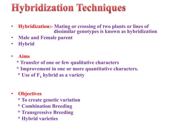 CLass 12 GPB 232Hybridization Techniques.pptx