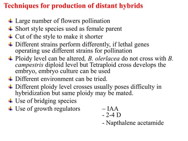 CLass 12 GPB 232Hybridization Techniques.pptx