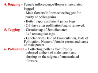 CLass 12 GPB 232Hybridization Techniques.pptx