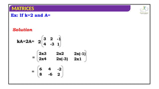 Class_12_Maths_1_Matrices_Introduction,_order_of_matrix_up_to_scalar.ppt