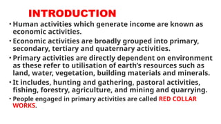 Class 12 GEOGRAPHY Primary Activities.pptx