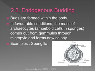 Class12 reproduction in organisms CBSE | PPTX