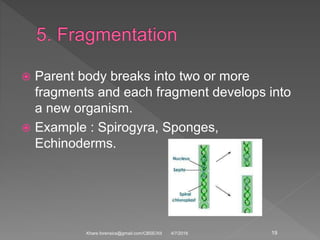 Class12 reproduction in organisms CBSE | PPT | Free Download