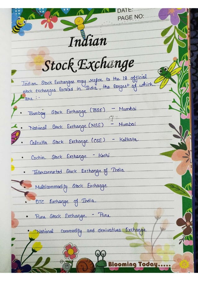 Business Studies Project File on Stock Exchange.pdf