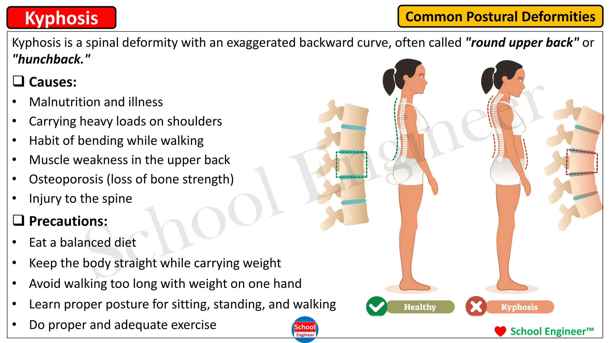 Class 12th physical education chapter 2 notes | PDF