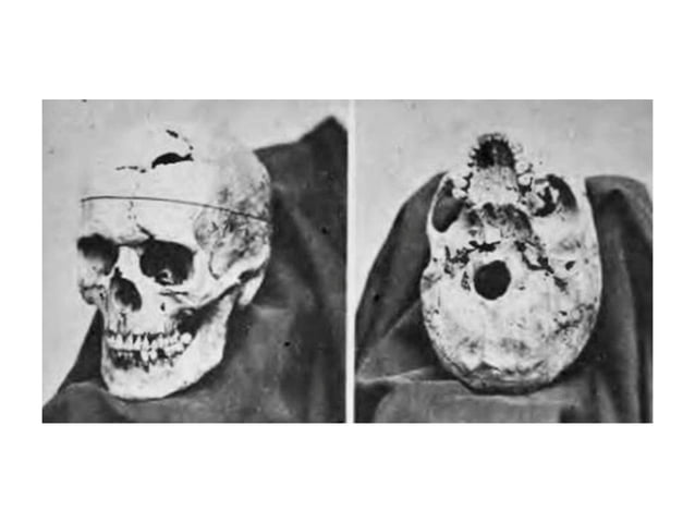 Class 14 the_mind_brain_nproblem | PPT