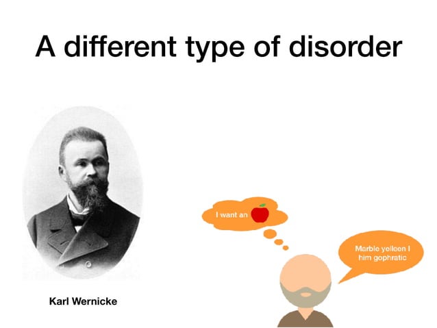 Class 14 the_mind_brain_nproblem | PPT