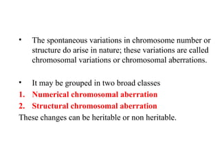 class 15 Unit 4 class 1Structural and numerical alterations in ...