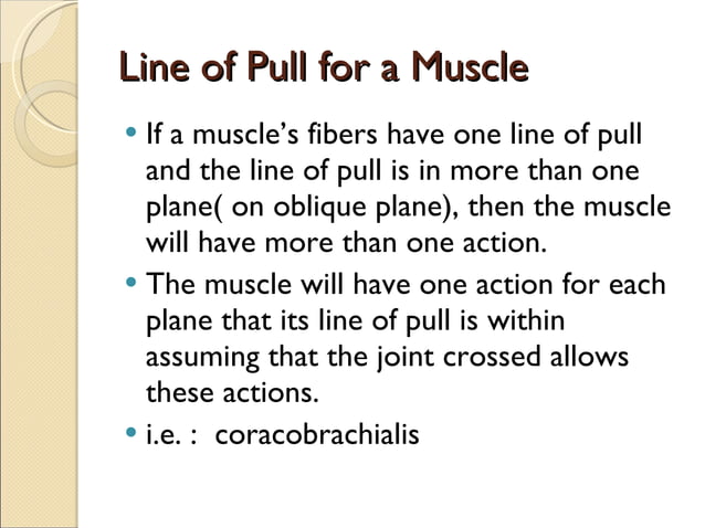 Class 1 Ap1 Muscles | PPT