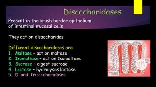 Class 1 digestion and absorption of carbohydrate | PPTX