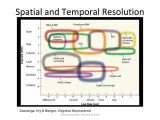Class 1 f_mri_intro | PPT