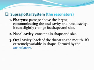 Class 1 phonetics | PPT