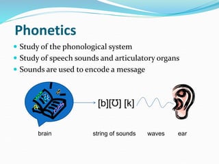Class 1 phonetics | PPT