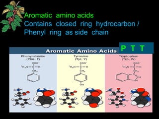 Class 1 protein and amino acids 2018 | PPT