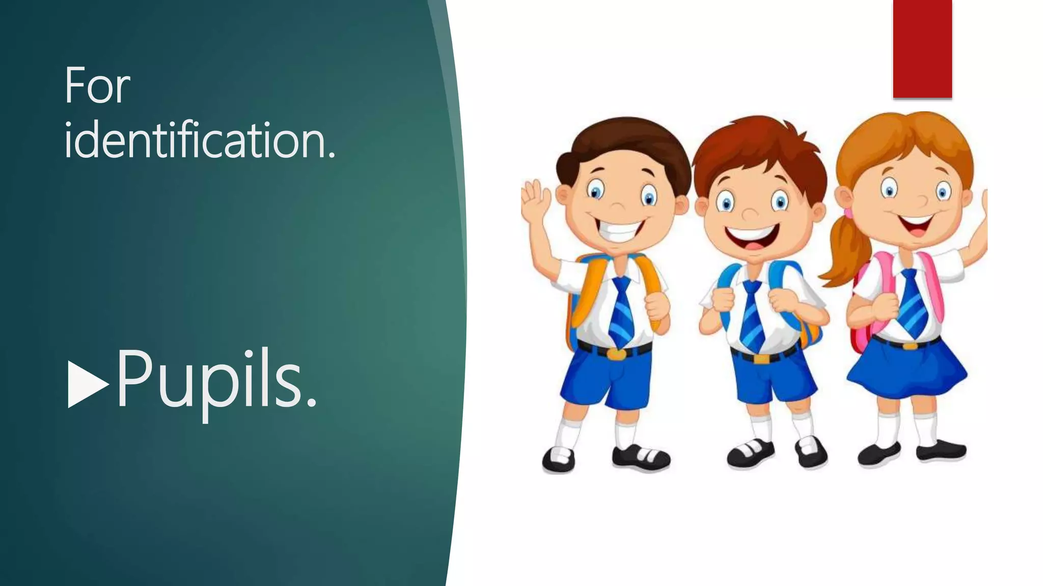 Clothes for Different Weather | PPTX