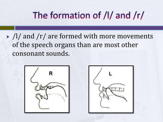 Class 2 | PPT | Free download