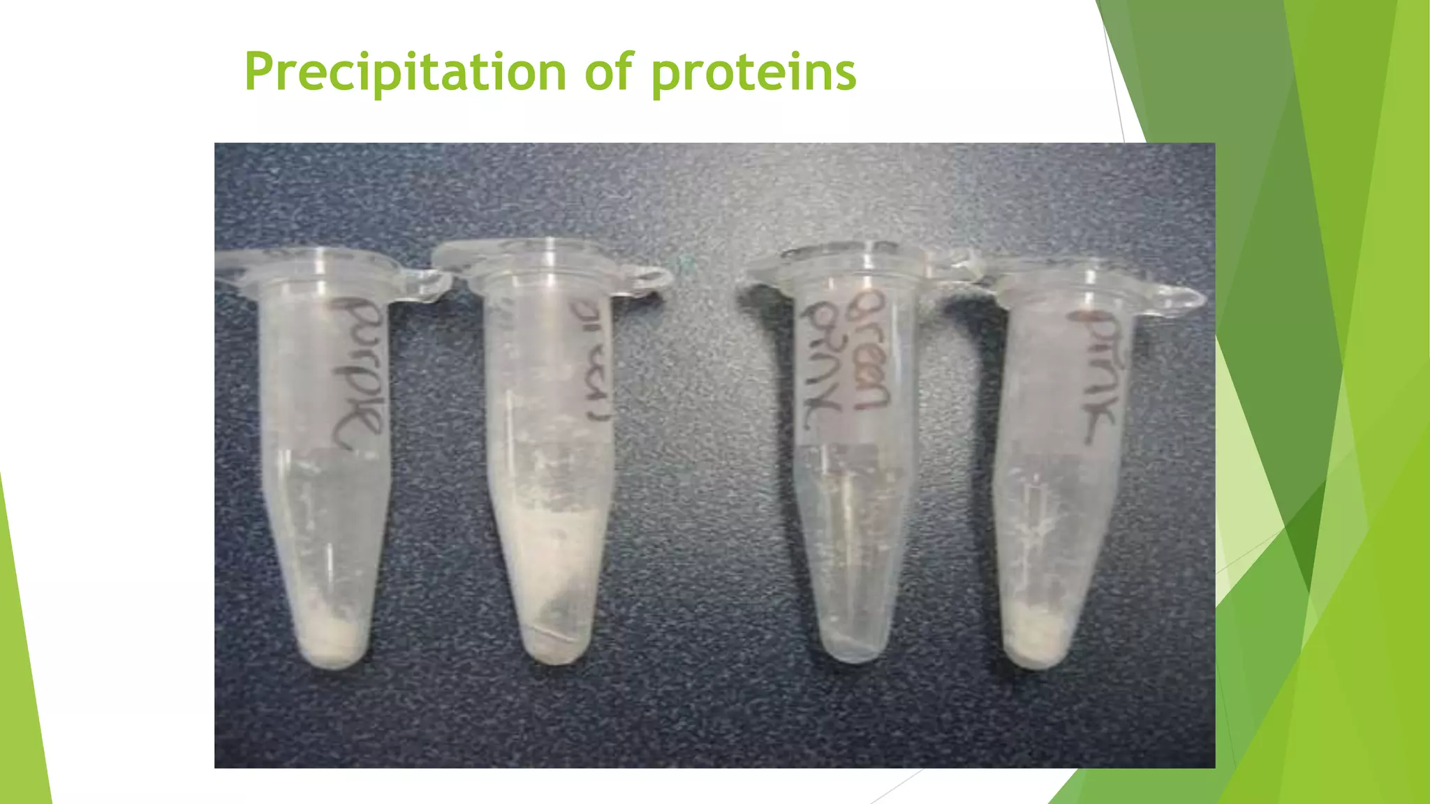 PROTEIN STRUCTURE AND BIOLOGICALLY IMPORTANT PEPTIDES | PPTX