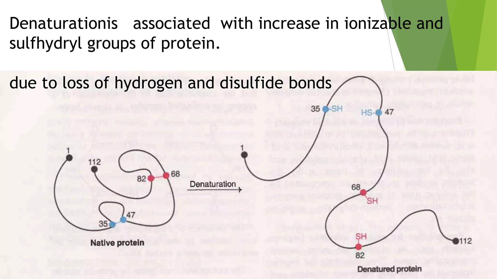 PROTEIN STRUCTURE AND BIOLOGICALLY IMPORTANT PEPTIDES | PPTX