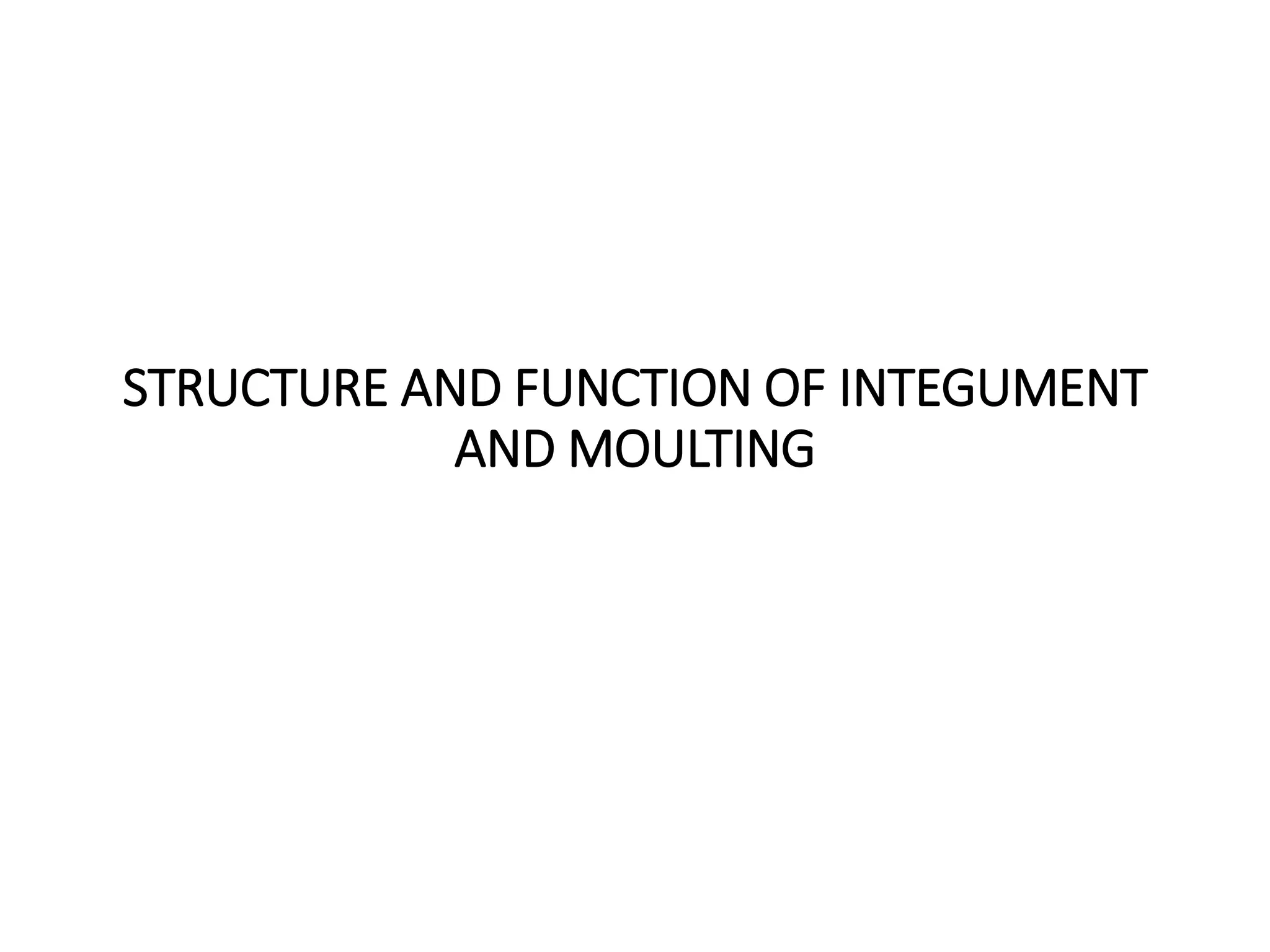 Structure of integument its function, moulting.pptx