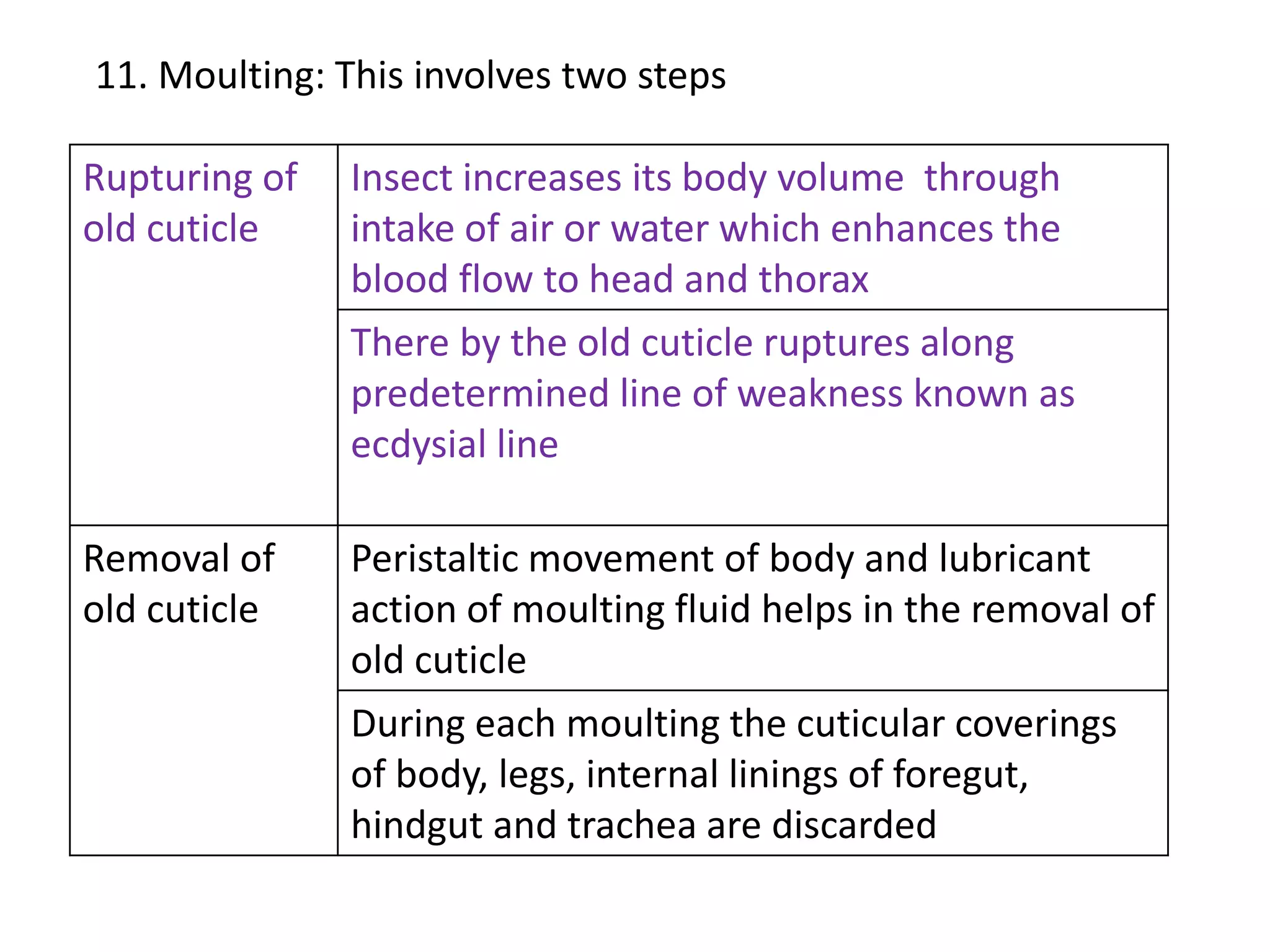 Structure of integument its function, moulting.pptx
