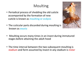 Structure of integument its function, moulting.pptx