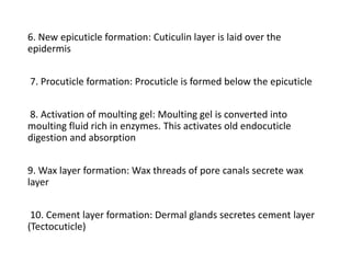 Structure of integument its function, moulting.pptx