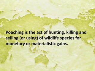 Class 2. Wildlife Poaching ppt.pptx | Zoos & Aquariums | Attractions