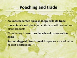 Class 2. Wildlife Poaching ppt.pptx | Zoos & Aquariums | Attractions