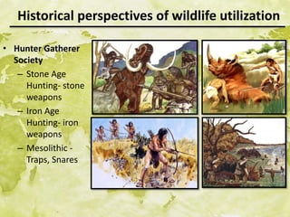 Class 2. Wildlife Poaching ppt.pptx | Zoos & Aquariums | Attractions