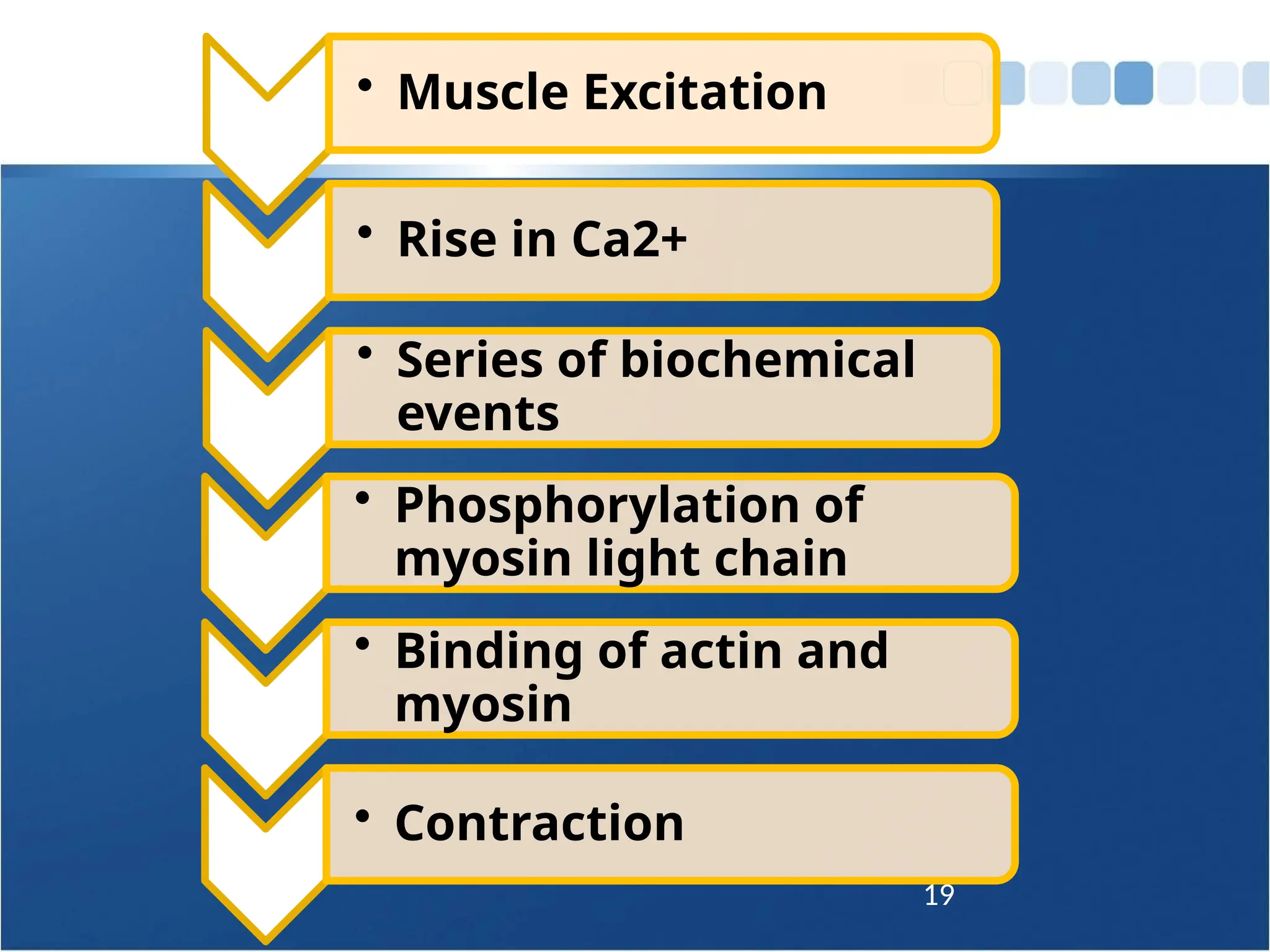 Class 2-structure of the Smooth Muscle of GIT.pptx