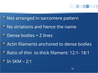 Class 2-structure of the Smooth Muscle of GIT.pptx