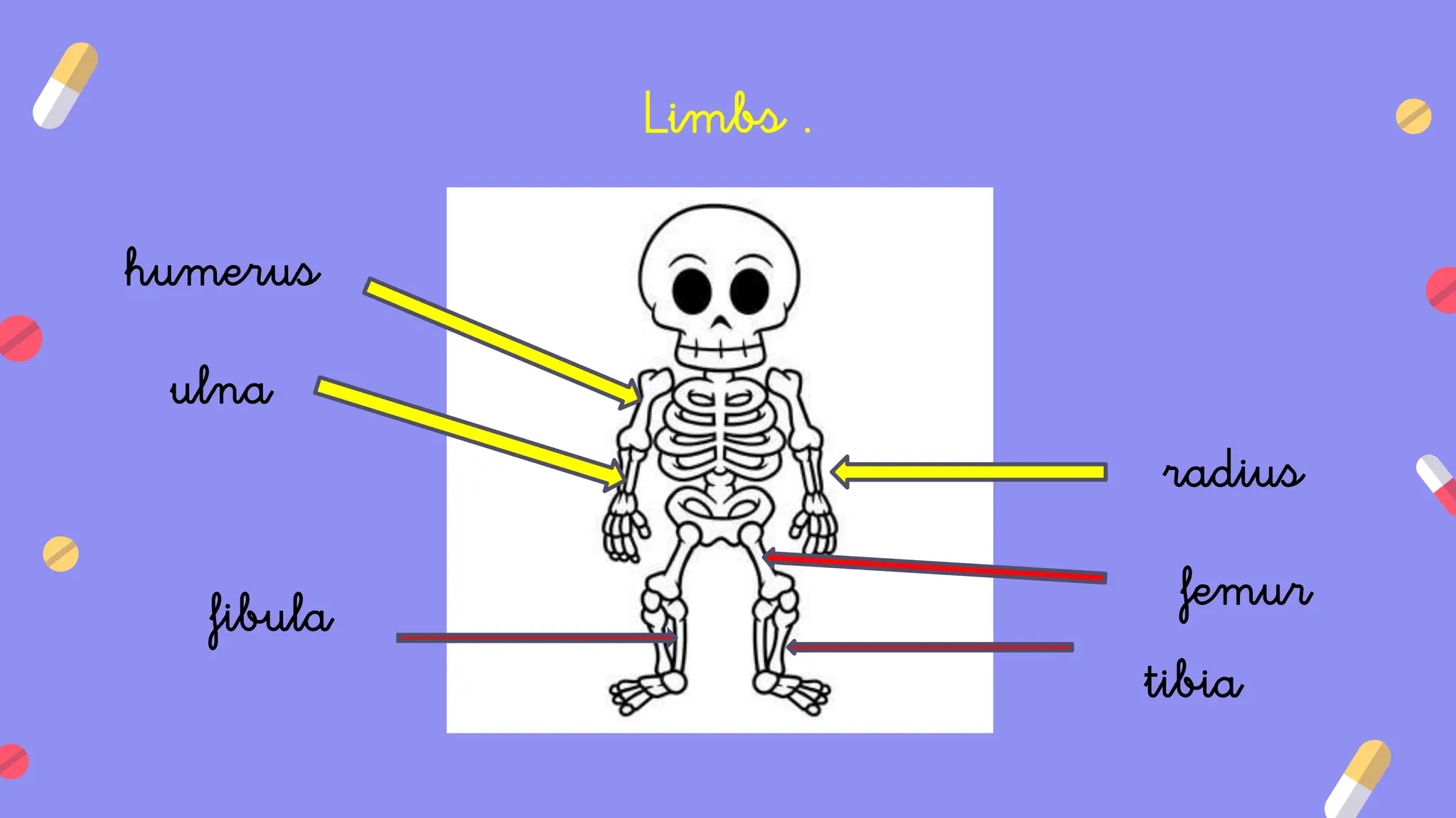 _The_skeletal_ en español los huesos pero en ingles | PPTX