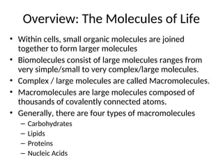 Class 2- The Structure and functions of Biomolecules 1.ppt
