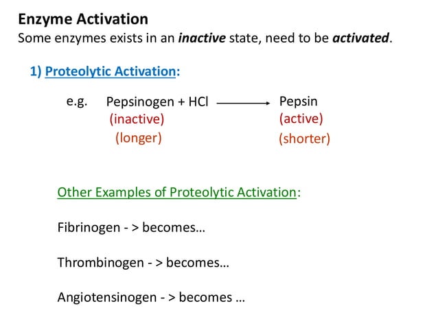 Enzymes and proteins_structure and functions.pdf
