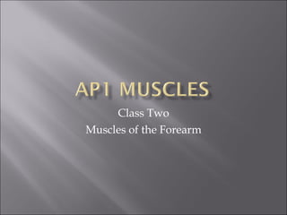Class 2 Ap1 Muscles | PPT