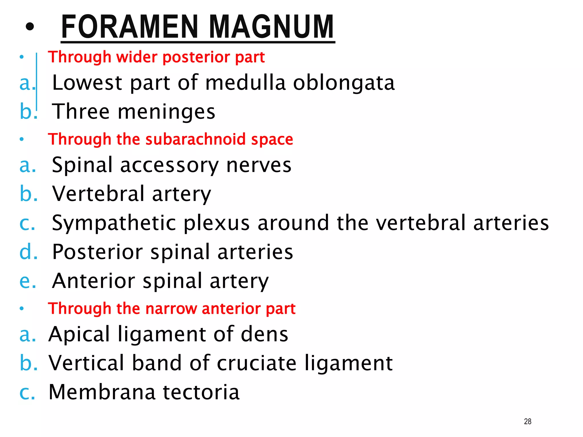 Norma basalis | PPTX