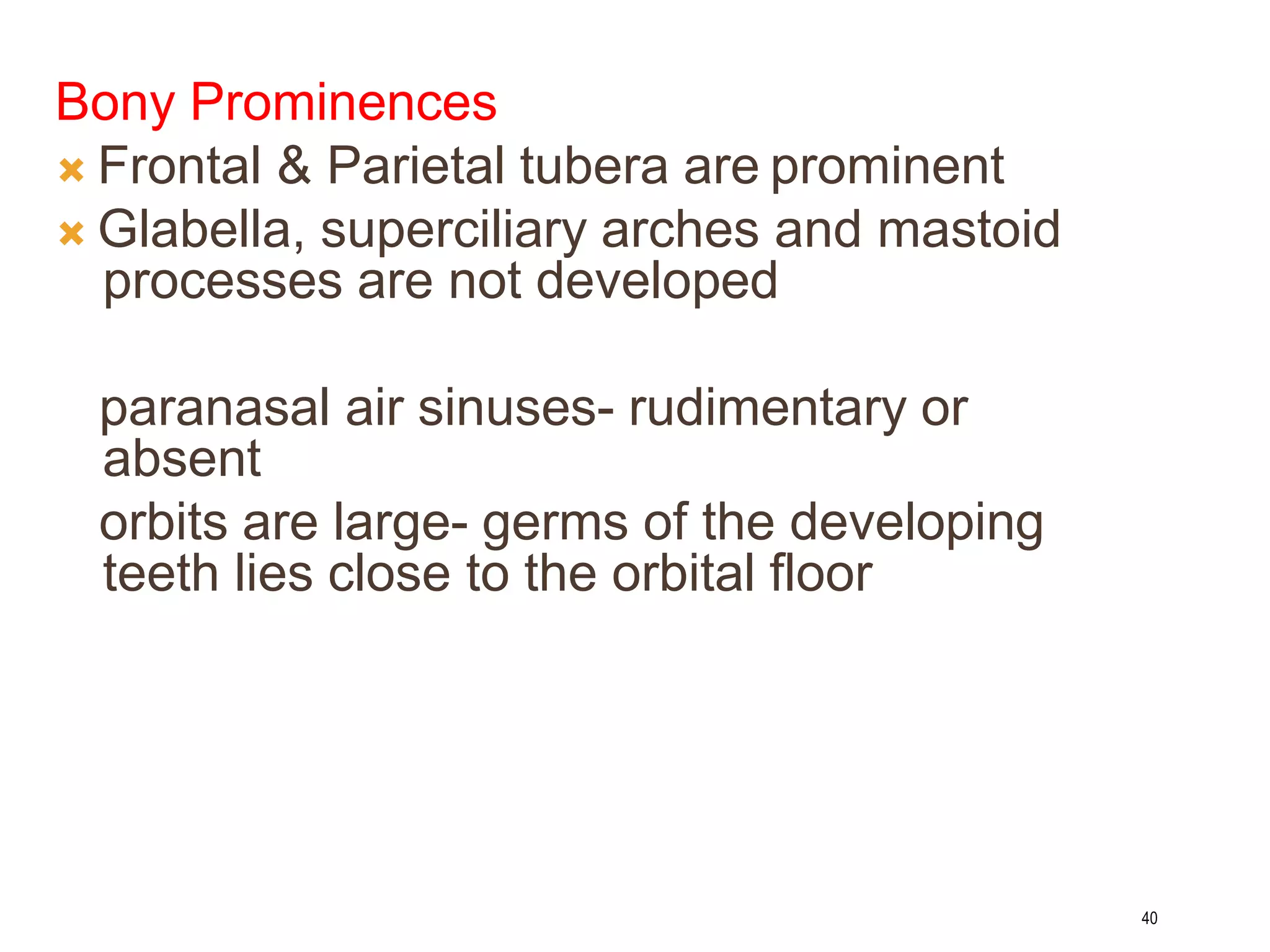 Norma basalis | PPTX