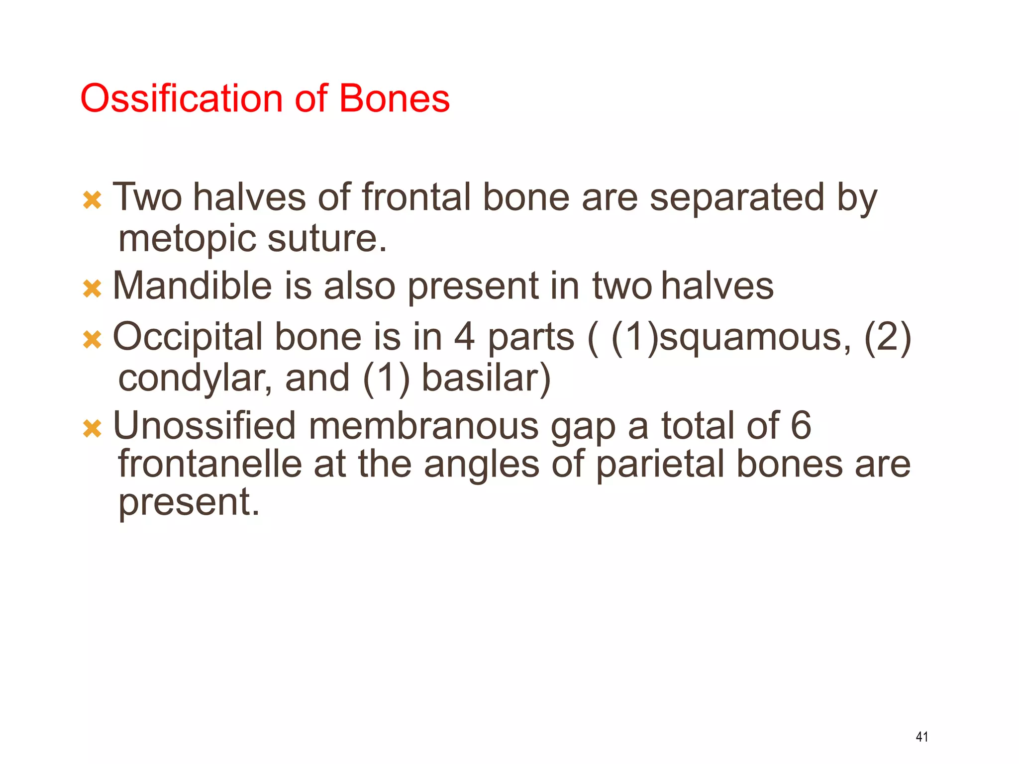 Norma basalis | PPTX