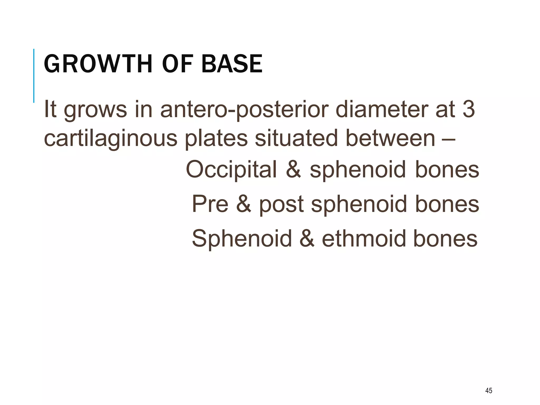 Norma basalis | PPTX