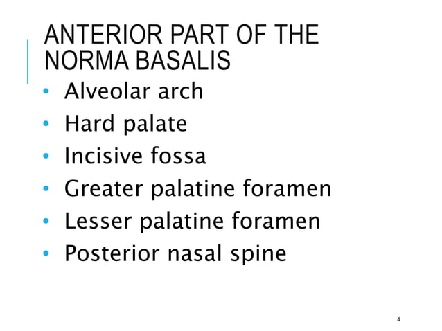 Norma basalis | PPTX | Death, Injury, or Military Conflict | Sensitive ...