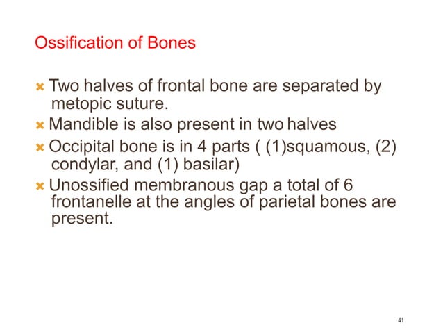 Norma basalis | PPTX | Death, Injury, or Military Conflict | Sensitive ...