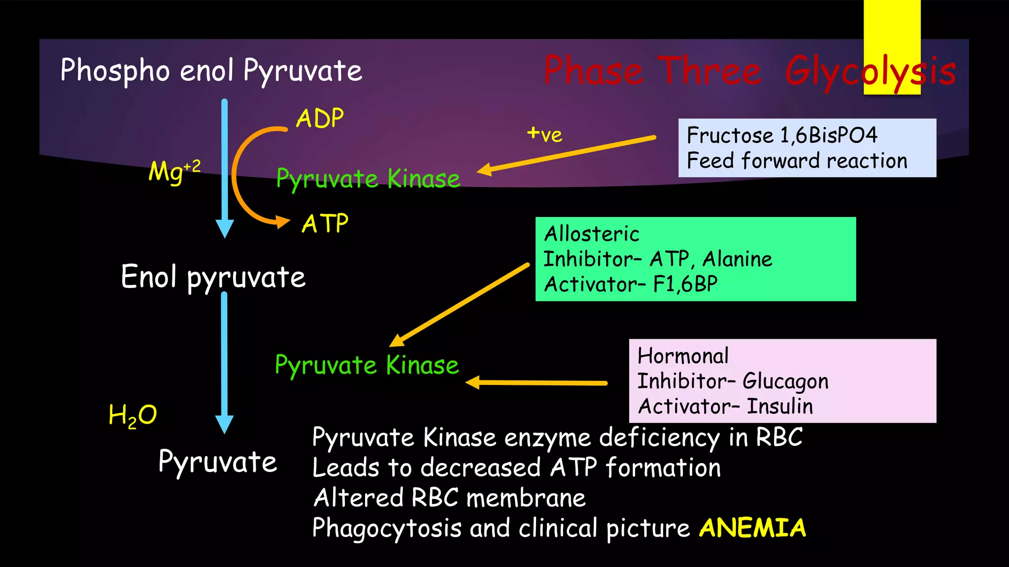 Class 2 glycolysis | PPTX